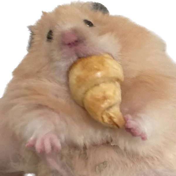 boss-🐸-PlayOne陪玩